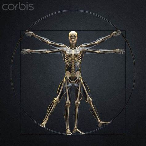 Pin On Pins By You In 2024 Vitruvian Man Skeleton Art Anime Pixel Art