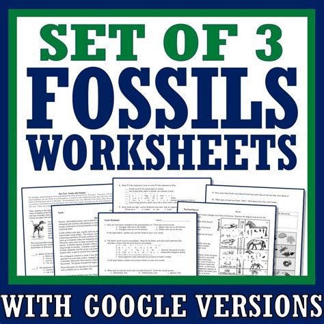 Fossil Reading Comprehension Worksheet