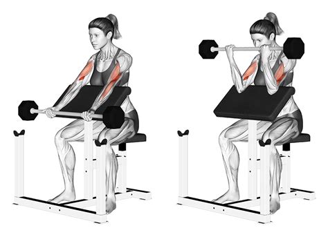 Preacher Curl Machine Alternative