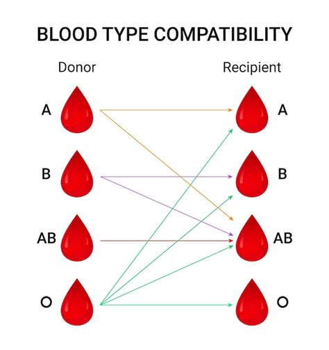 Page 3 Blood Type Explained Images Free Download On Freepik