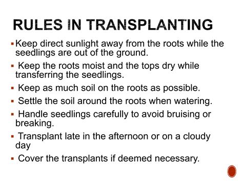 Transplanting Of Vegetable Seedlingspptx