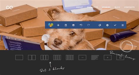 Visual Composer Vs Beaver Builder Vs Bebuilder Which Is Best