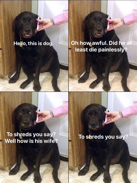 To Shreds You Say Rcomedycemetery