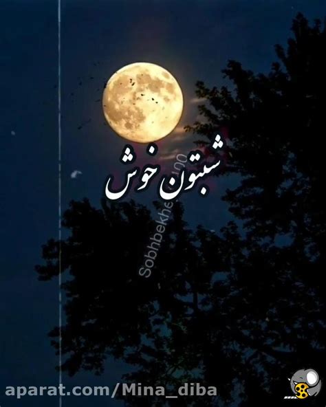 استوری شب بخیر خوب فیلو