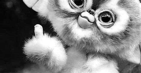 Servers Album On Imgur