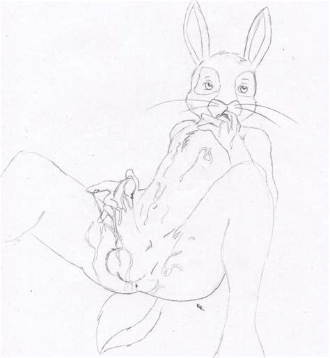 Rule 34 Fiver Rascalraccoon Tagme Watership Down 773786