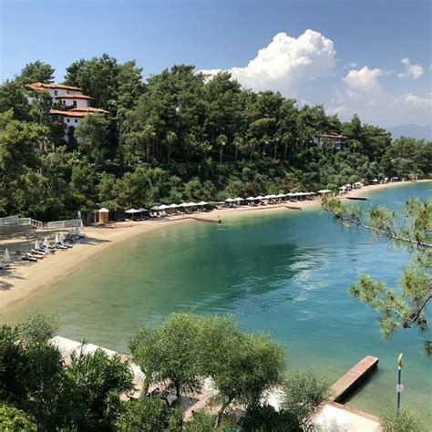 Фетхіє це незаймана природа чисте повітря заповідник соснові і