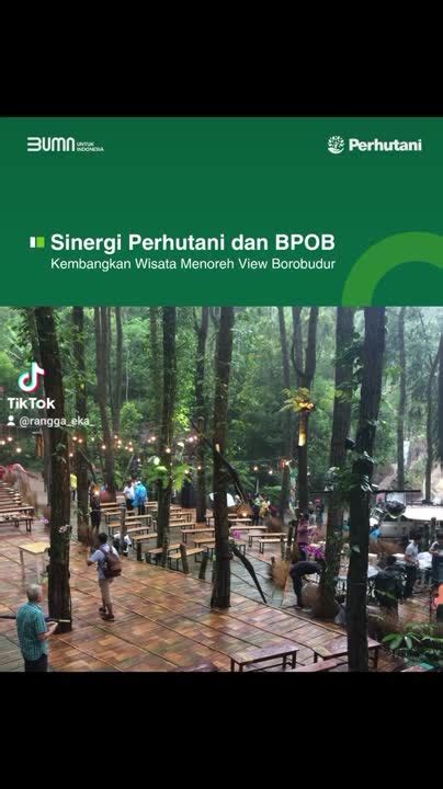 rangga eka setiawan on linkedin menorehviewperhutani sinergiperhutani