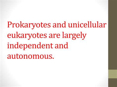 SOLUTION Cell Signaling Overview Studypool