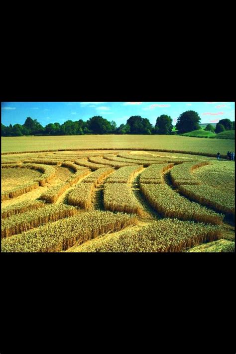 Admire This Crop Circle Photo The Crop Circles Coloring Book Artofit