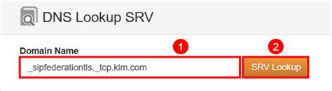 Verify DNS SRV Records For Office ALI TAJRAN