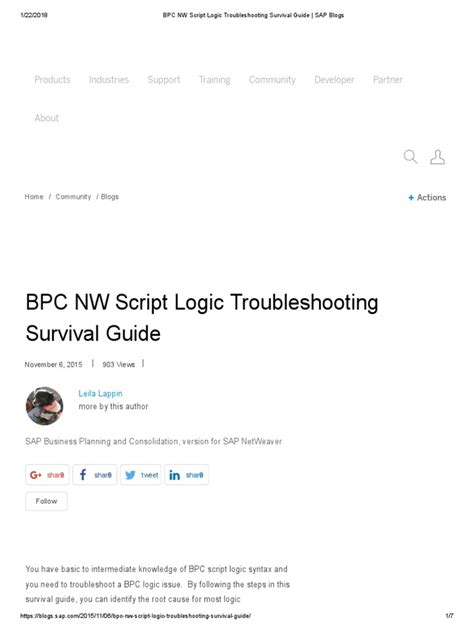 Bpc Nw Script Logic Troubleshooting Survival Guide Sap Blogs Pdf Scope Computer Science