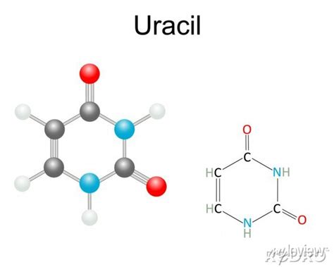 Chemical Structural Formula And Model Of Uracil Purine Nucleobase