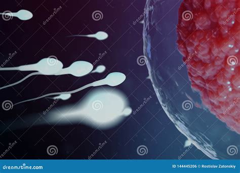3d Illustration Sperm And Egg Cell Ovum Sperm Approaching Egg Cell