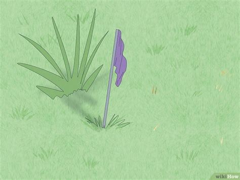 How To Play Capture The Flag Rules Strategy How To Play Capture The Flag Rules Strategy