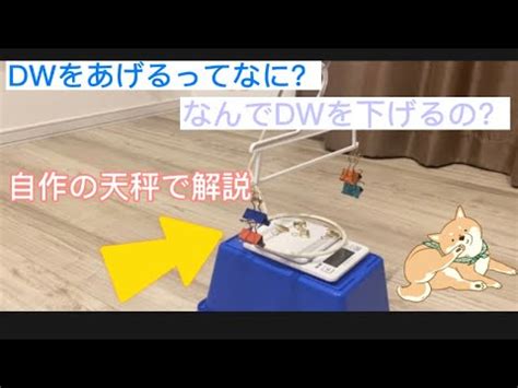 ドライウエイト DW ドライウエイトの上げ下げ原理を解説 YouTube