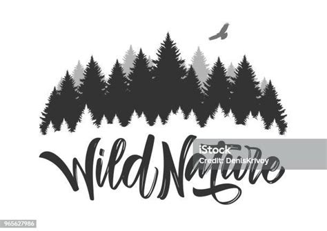 벡터 일러스트 레이 션 손으로 그린 소나무 숲과 호크의 실루엣과 야생 자연의 글자를 입력 숲에 대한 스톡 벡터 아트 및 기타 이미지 Istock