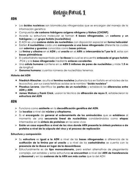 Biologia 6° Parcial 1 Descargar Gratis Pdf Rna Traducción Biología