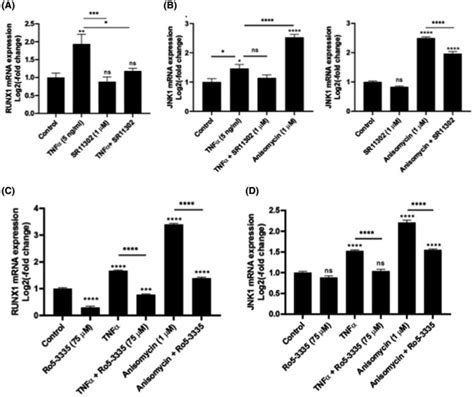 Tnf‐α Signaling Regulates Runx1 Function In Endothelial Cells Pmc