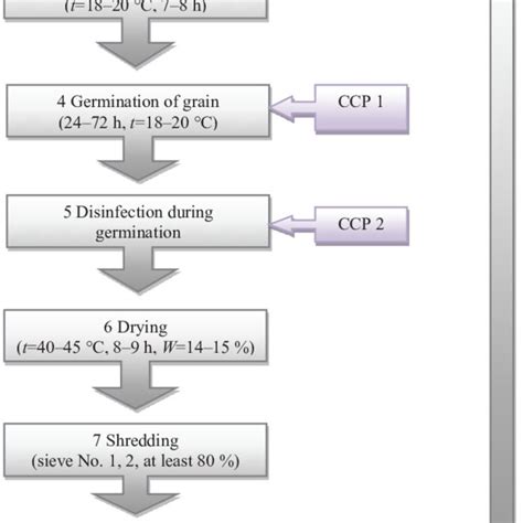 Description Of The Process Flow Diagram Download Scientific Diagram