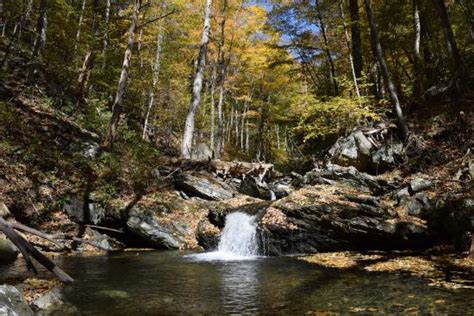 Rose River Falls Shenandoah National Park All You Need To Know