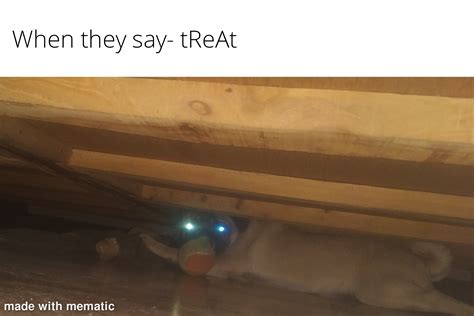 Treat Scrolller