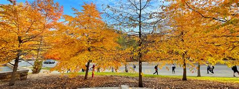 M S In Computer Science Department Of Computer Science