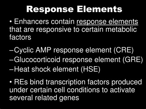 Ppt Regulation Of Gene Expression Powerpoint Presentation Free