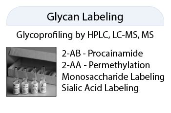 QA Bio Tools For Glycan Analysis