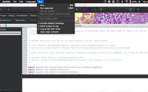 Hande Histology Color Normalization Instructions Qupath Integration