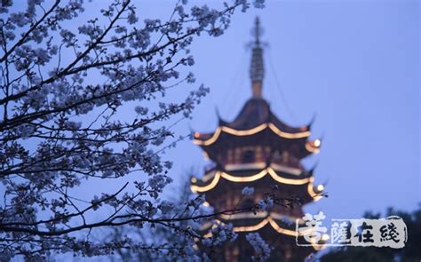 南朝四百八十寺之首——南京鸡鸣寺 — 大菩文化
