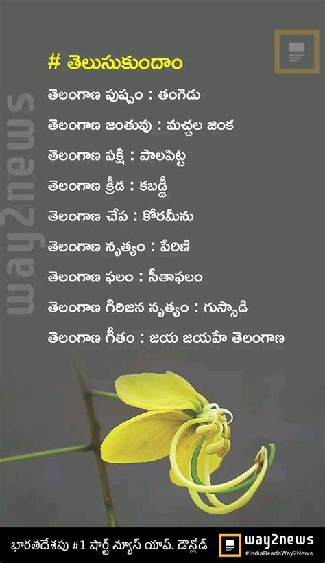 Pin By Ankur On General Knowledge General Knowledge Facts General