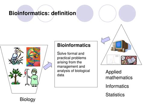 Ppt Basics Bioinformatics Powerpoint Presentation Free Download Id6154734 Ppt Basics Bioinformatics Powerpoint Presentation Free Download Id6154734