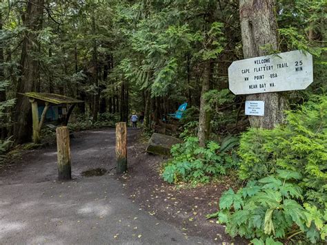 Cape Flattery Guide Hiking The Nw Tip Of The Us Map And Tips With