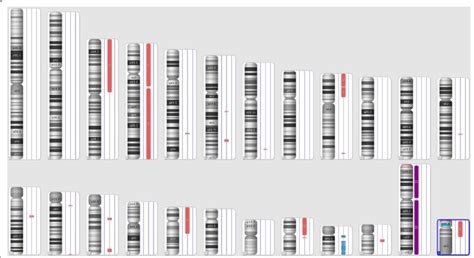 Chromosome View Of Snp Microarray Analysis Showing Multiple Copy Number Download Scientific
