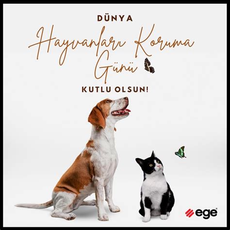 Ege Ev Ürünleri AŞ Posted On Linkedin