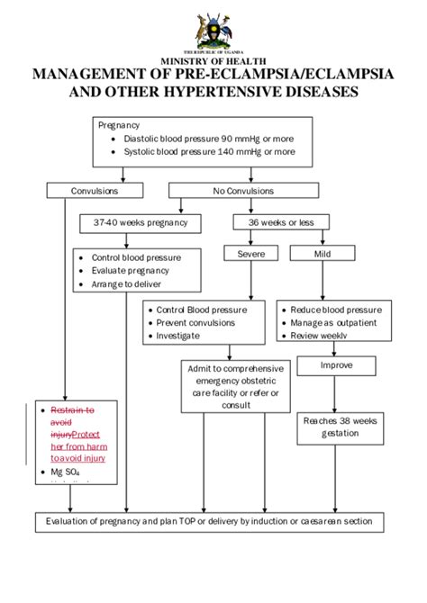 Eclampsia Emergency Box At James Silvers Blog