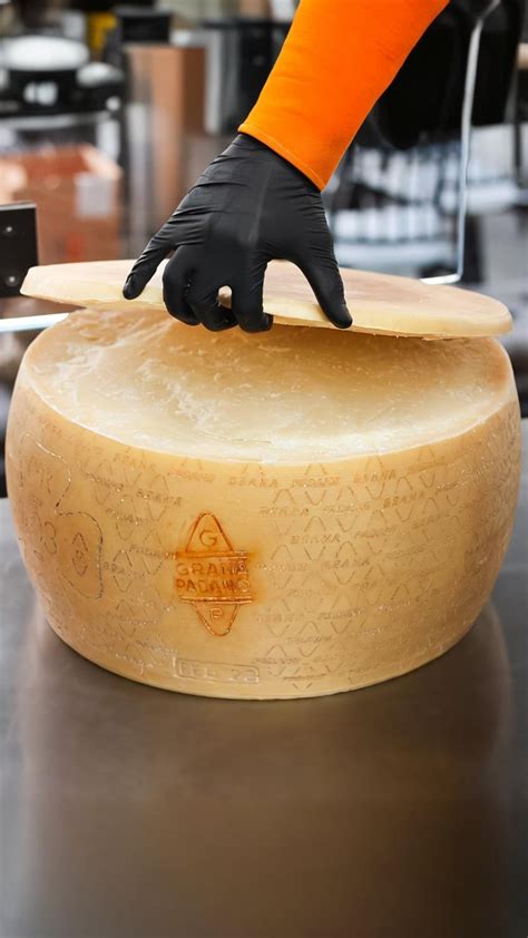 Rein Room ‎آررره دیگه 😄☺️🤩 خلااصه اینکه ما هستیم🍝 پاستا پاستادست