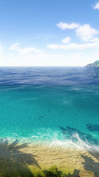 椰树海岸壁纸 椰树海岸手机壁纸 椰树海岸手机动态壁纸 元气壁纸