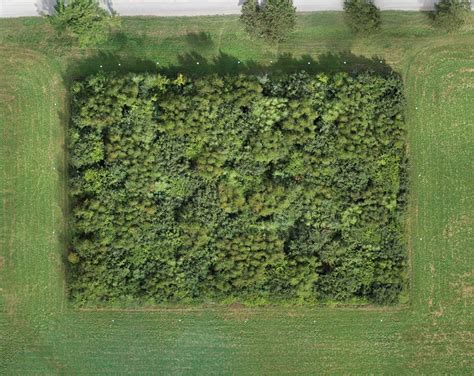 Functional Traits Are Important Predictors Of Tree Growth But Their Effects Vary With Age And