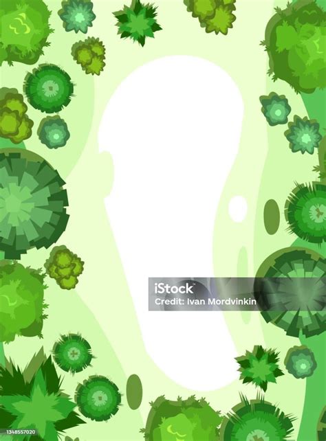 숲속의 글레이드 텍스트가 있는 프레임입니다 나무와 관목 위에서 볼 수 있습니다 식물 풍경 맨 위 보기입니다 높이 만화 스타일의 일러스트레이션 흰색 배경 벡터에서 격리 0명에