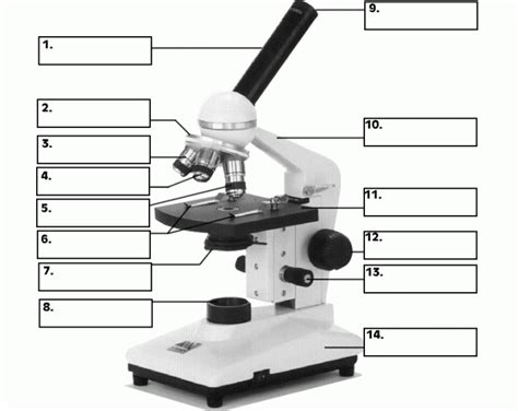 Microscope Part 1 Diagram Quizlet