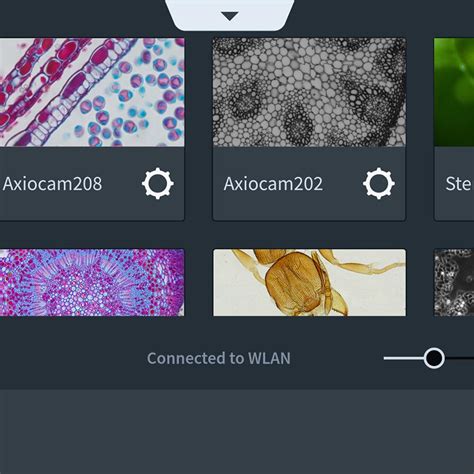 ai microscopy solutions zeiss