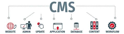 Self Hosted Wordpress Vs Custom Coded Cms Dunedin Website Designer