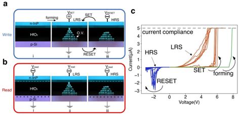 Write And Read States In A Iii V Hfo2 Si Memristor Download Scientific Diagram