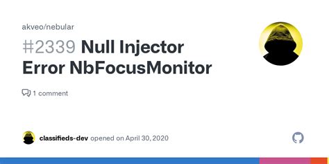 Null Injector Error Nbfocusmonitor · Issue 2339 · Akveonebular · Github