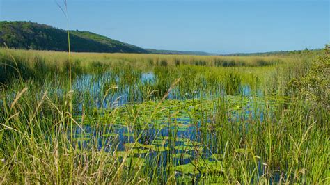 Python Function 函式初探 函式可以讓我們重複使用同樣的程式碼，而不需要重複的撰寫。 By Sean Yeh Python Everywhere From