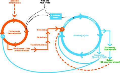 A Generalized Approach For Integrating Genetic Engineering Ge With Download Scientific