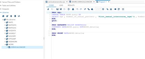 Problem After Importing Data In Excel Sas Support Communities