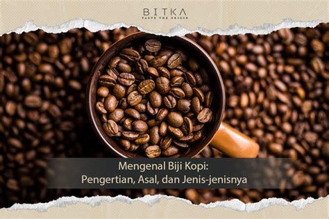 Mengenal Biji Kopi Pengertian Asal Dan Jenis Jenisnya BITKA ORIGIN